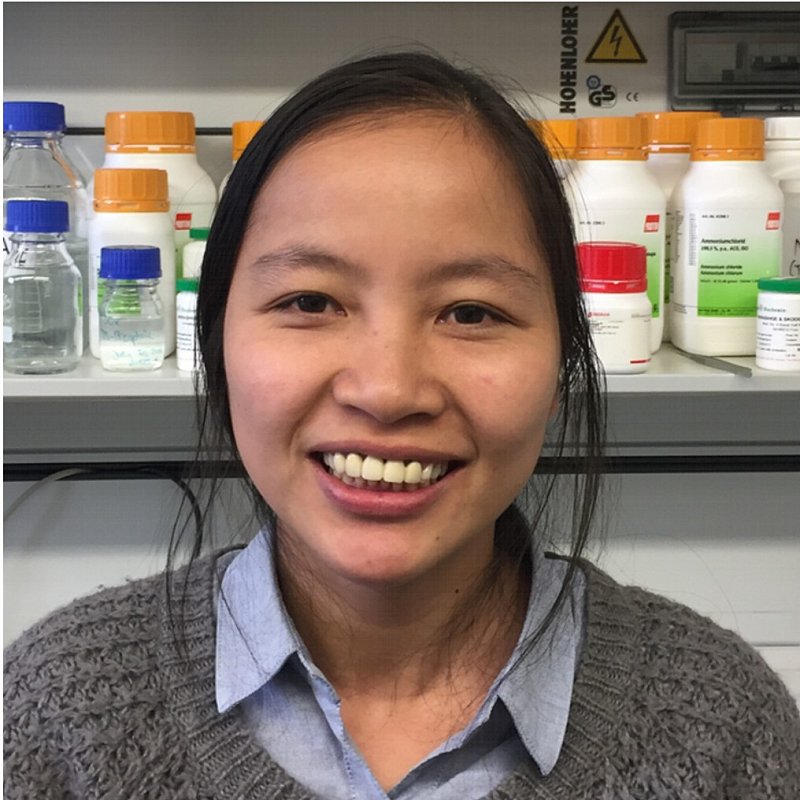 Dr. Minh Hoang Dr. Minh Hoang